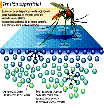 Curso: Electivo 2 Física: TENSIÓN SUPERFICIAL